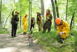 Forestry Training and Career Guide - The Forestry Pros