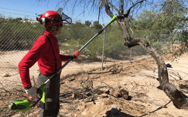 How to Use a Pole Saw Guide - The Forestry Pros