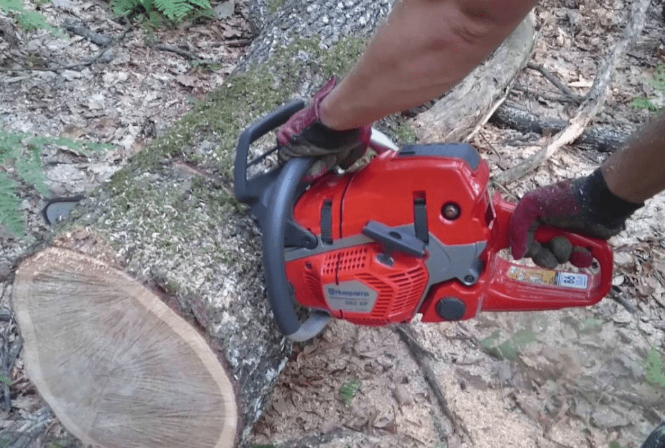 Husqvarna 562xp Review and Guide: Is It Worth Buying? - The Forestry Pros