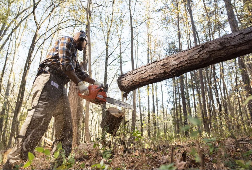 Best 24 Inch Chainsaw Options Guide: Which Is Right For You? - The ...