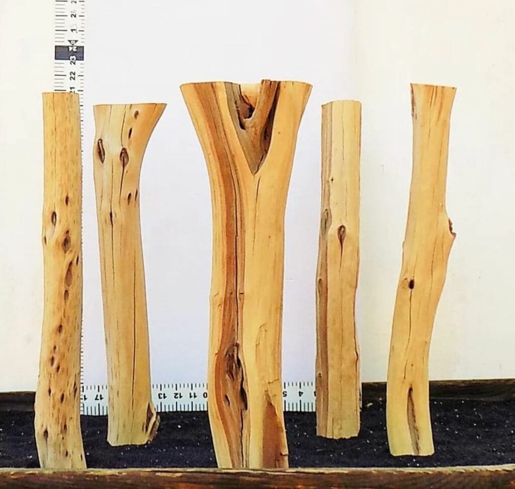 Manzanita Wood Uses - The Forestry Pros
