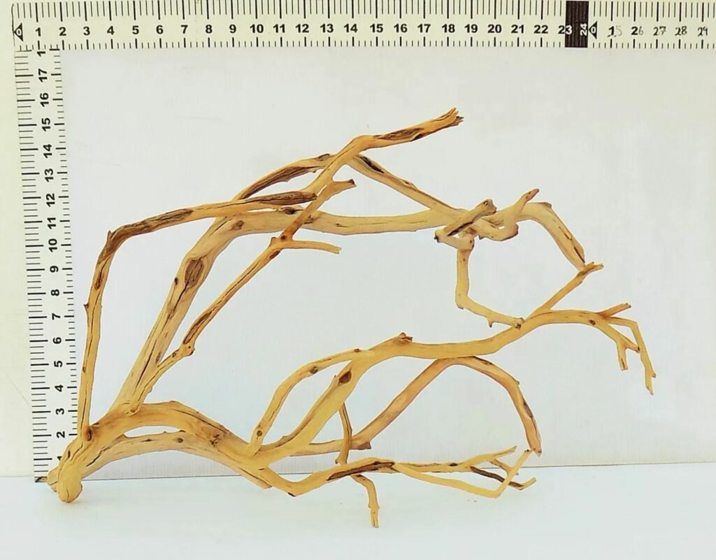 Manzanita Wood Uses - The Forestry Pros