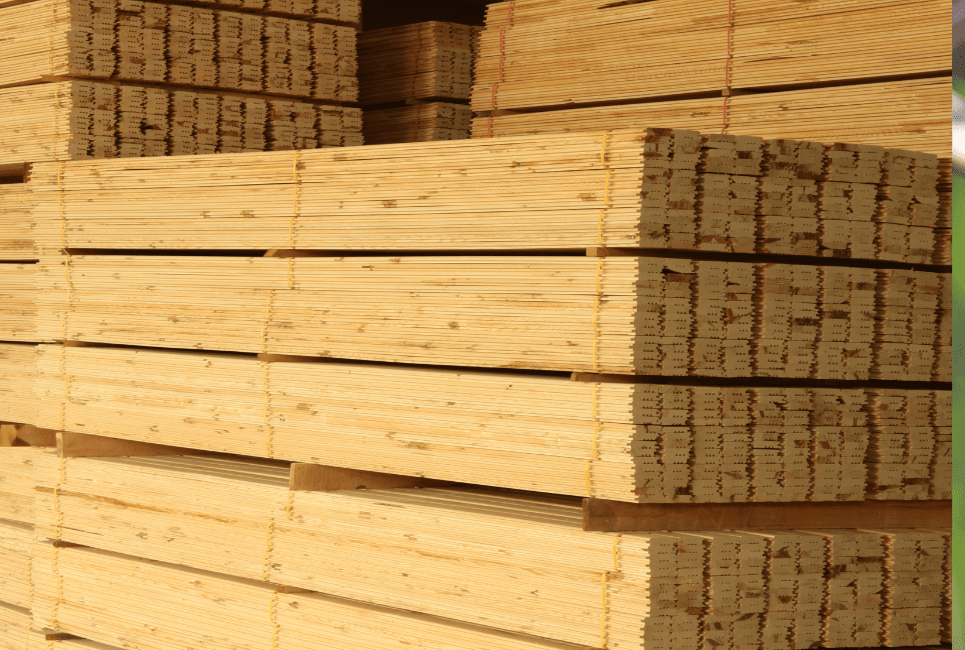 Where To Buy Elm Lumber: Examining The Options - The Forestry Pros